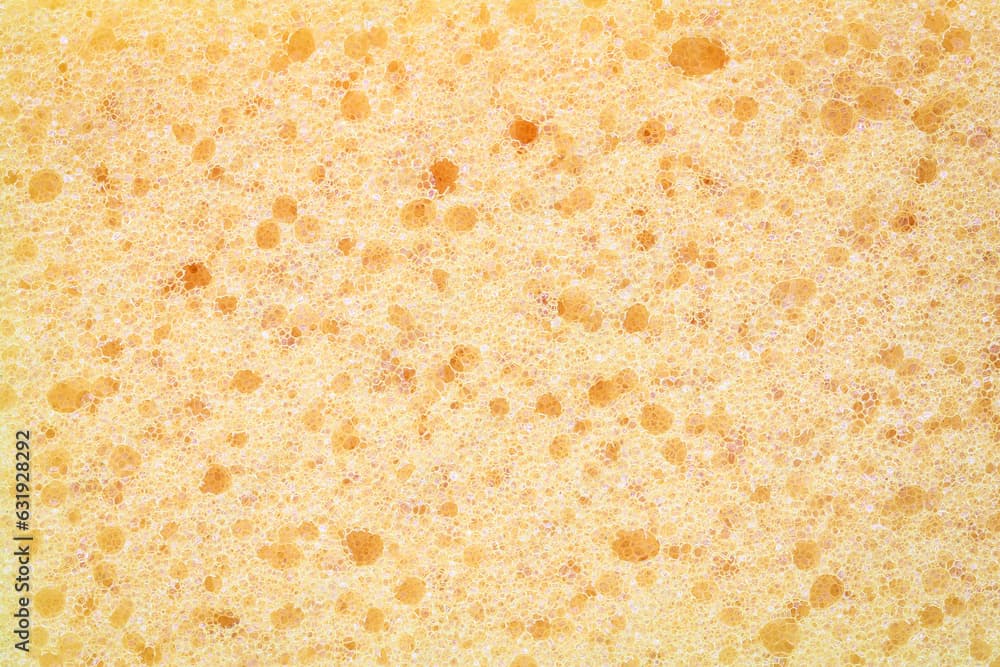 Rough Sponge · Axinella verrucosa · Reeflings Library
