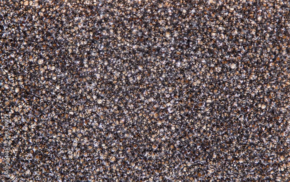 Reticulate Sponge · Dragmacidon reticulatum · Reeflings Library