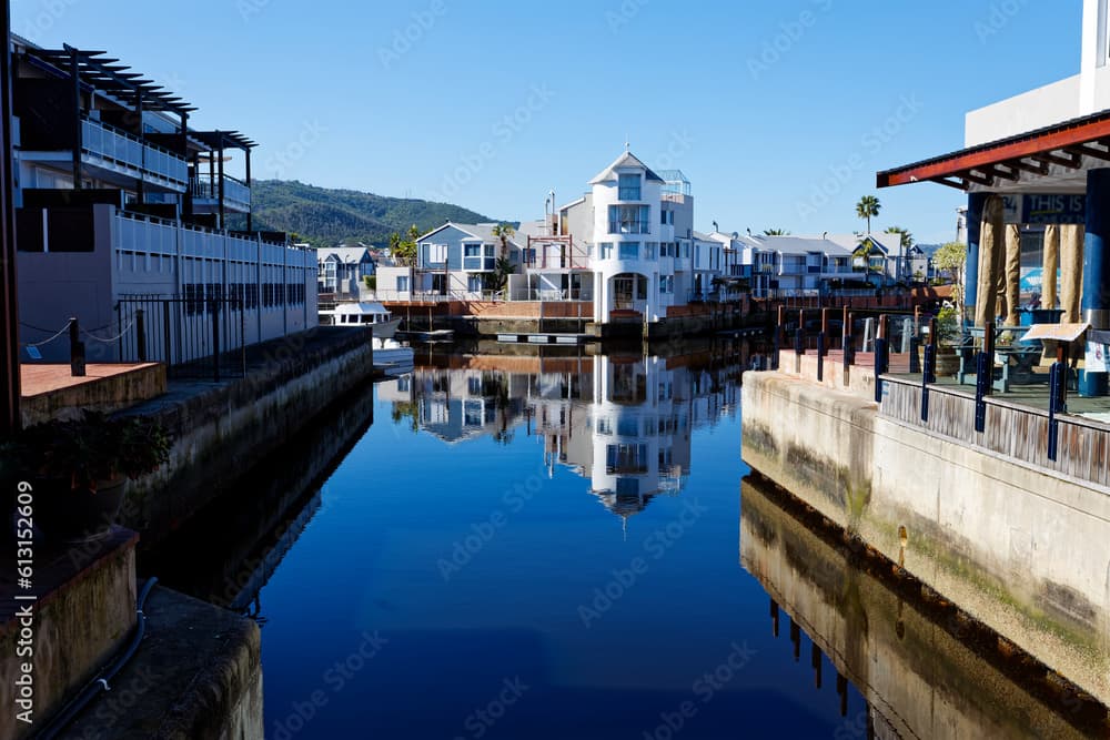 Cape seahorse · Hippocampus capensis · Reeflings Library