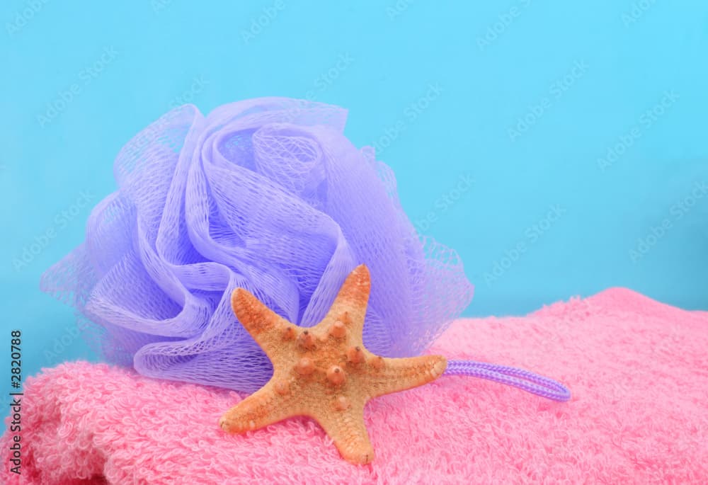 Star Sponge · Diplastrella megastellata · Reeflings Library