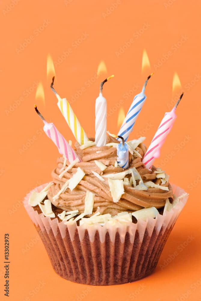 orange pipe sponge · Leucosolenia botryoides · Reeflings Library