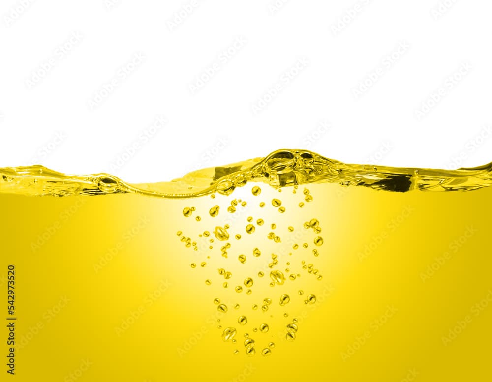 orange pipe sponge · Leucosolenia botryoides · Reeflings Library