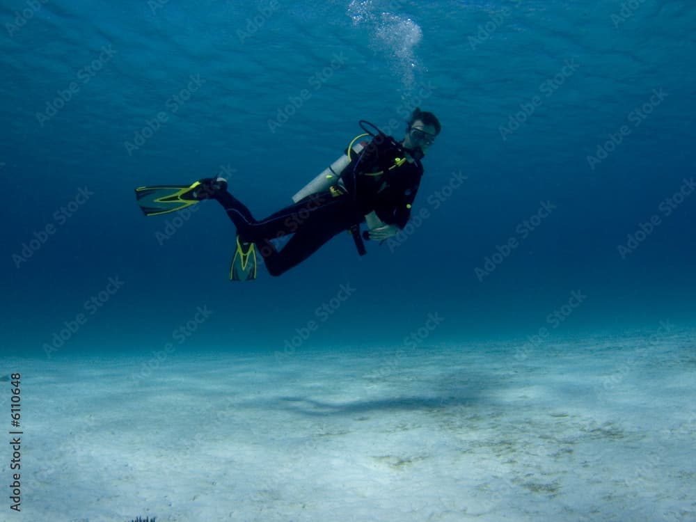 Sand diver · Trichonotus marleyi · Reeflings Library