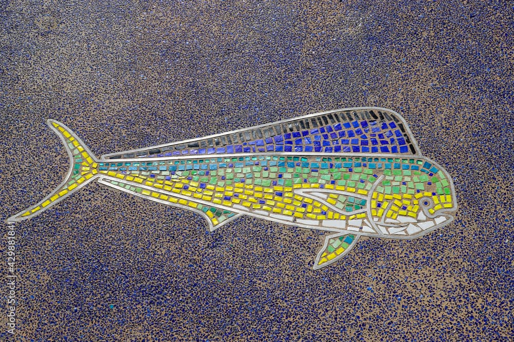 Yellow tilefish · Hoplolatilus luteus · Reeflings Library